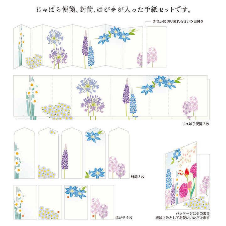 Kami Letter Writing Set | 15th Anniversary Limited Edition | Midori