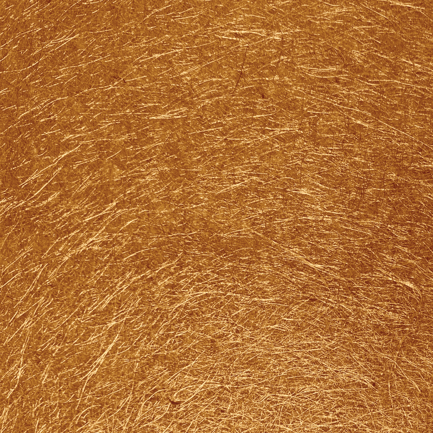 A4 Paper Pack | Indian Collection A | 5 Designs | 25 Sheets