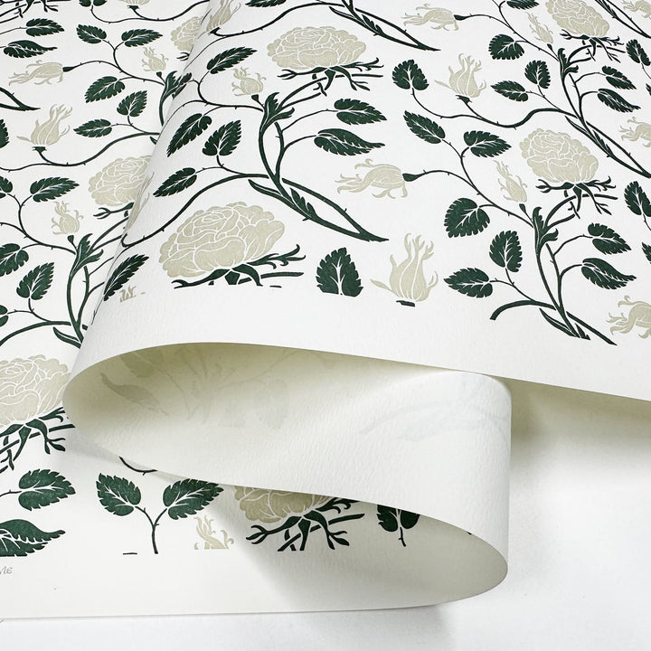 ROSSI 1931 | Italian Paper | Kami - Fitzroy