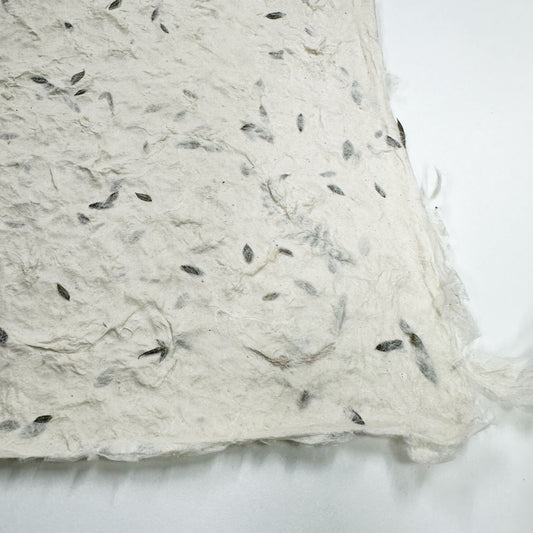 Natural Inclusions | Nepalese Paper | Kami - Fitzroy