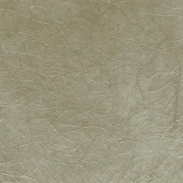 Japanese Paper | Awagami Kinwashi | 10 COLOURS