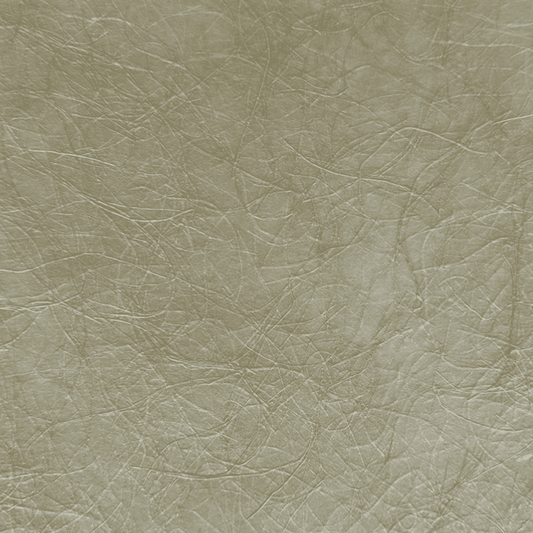 Japanese Paper | Awagami Kinwashi | 10 COLOURS