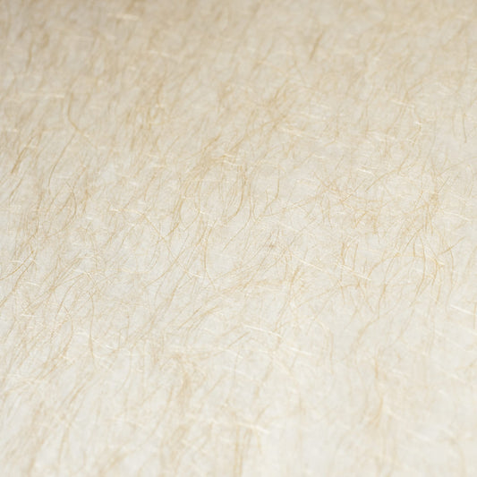 Japanese Paper | Awagami Ogura | 10 COLOURS