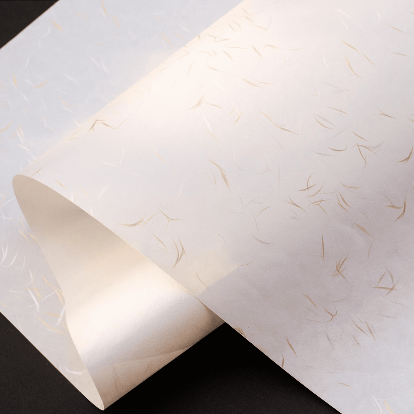 Japanese Paper | Tairei | 3 COLOURS