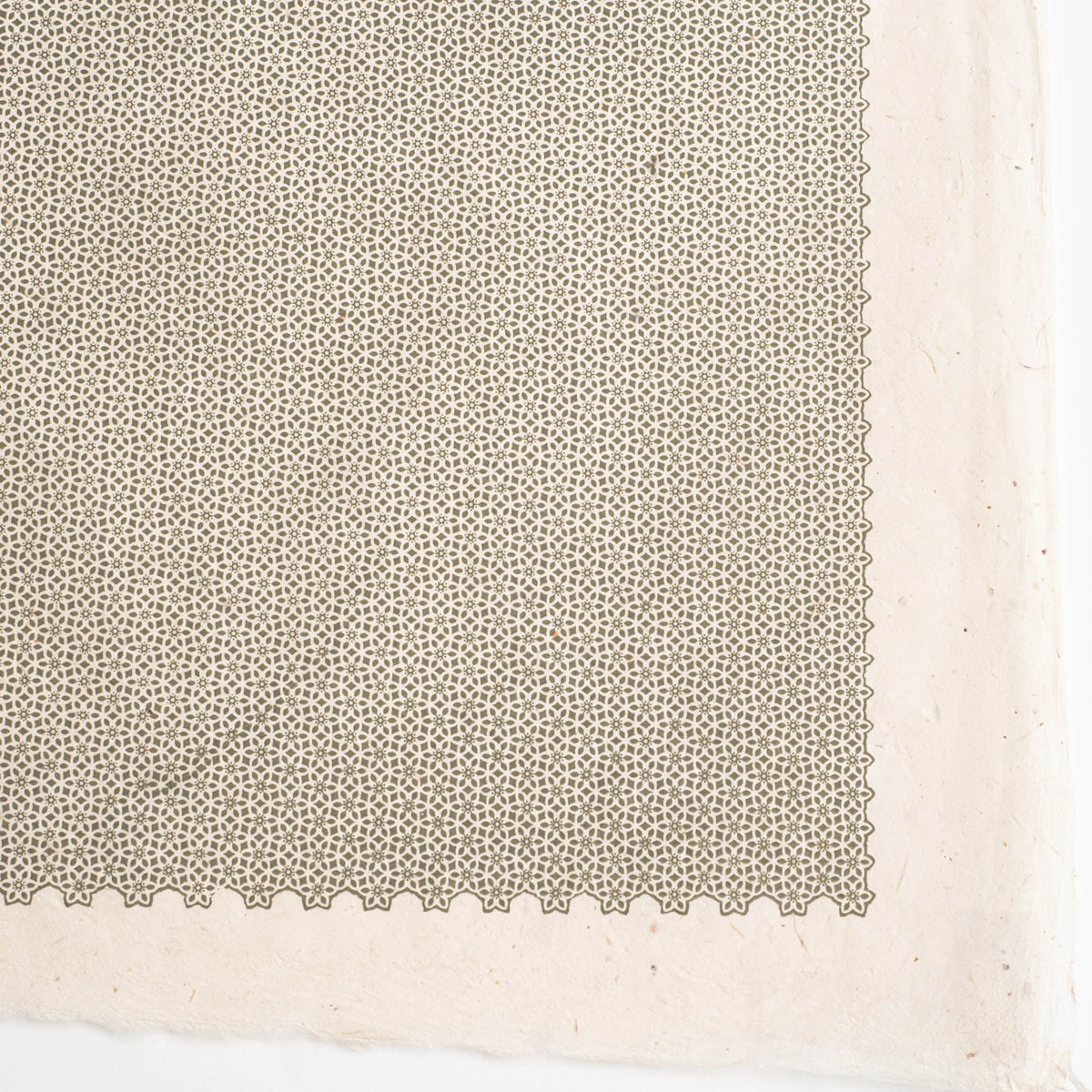 Nepalese Paper | Lokta | Jali Small with Border | 6 COLOUR OPTIONS AVA