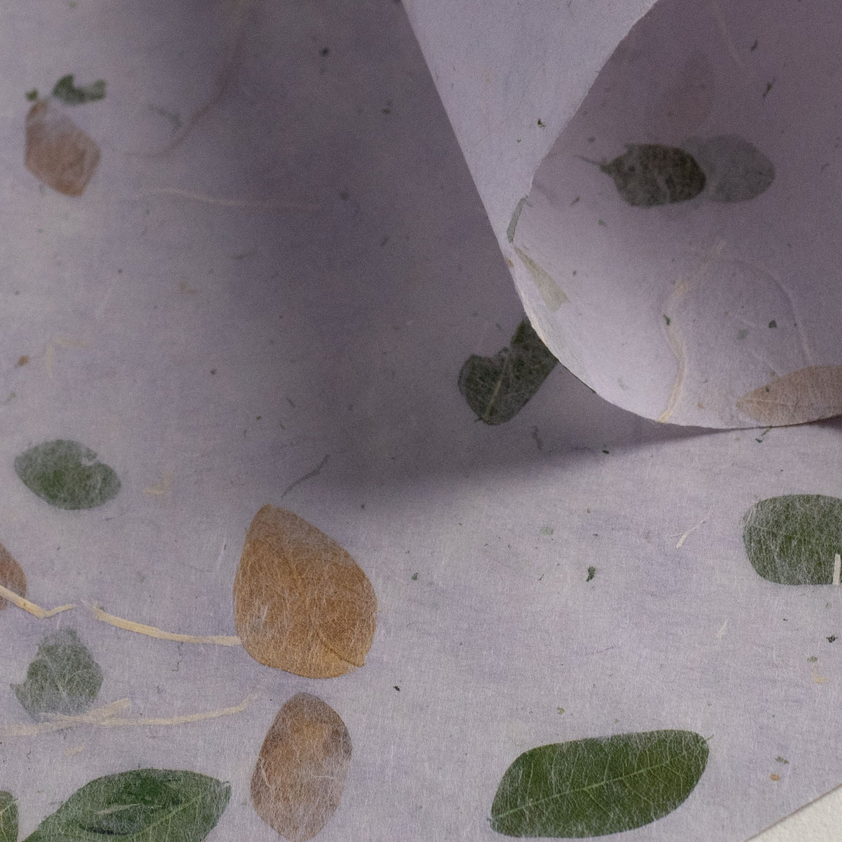 Thai Paper | Rain Tree | 4 COLOURS