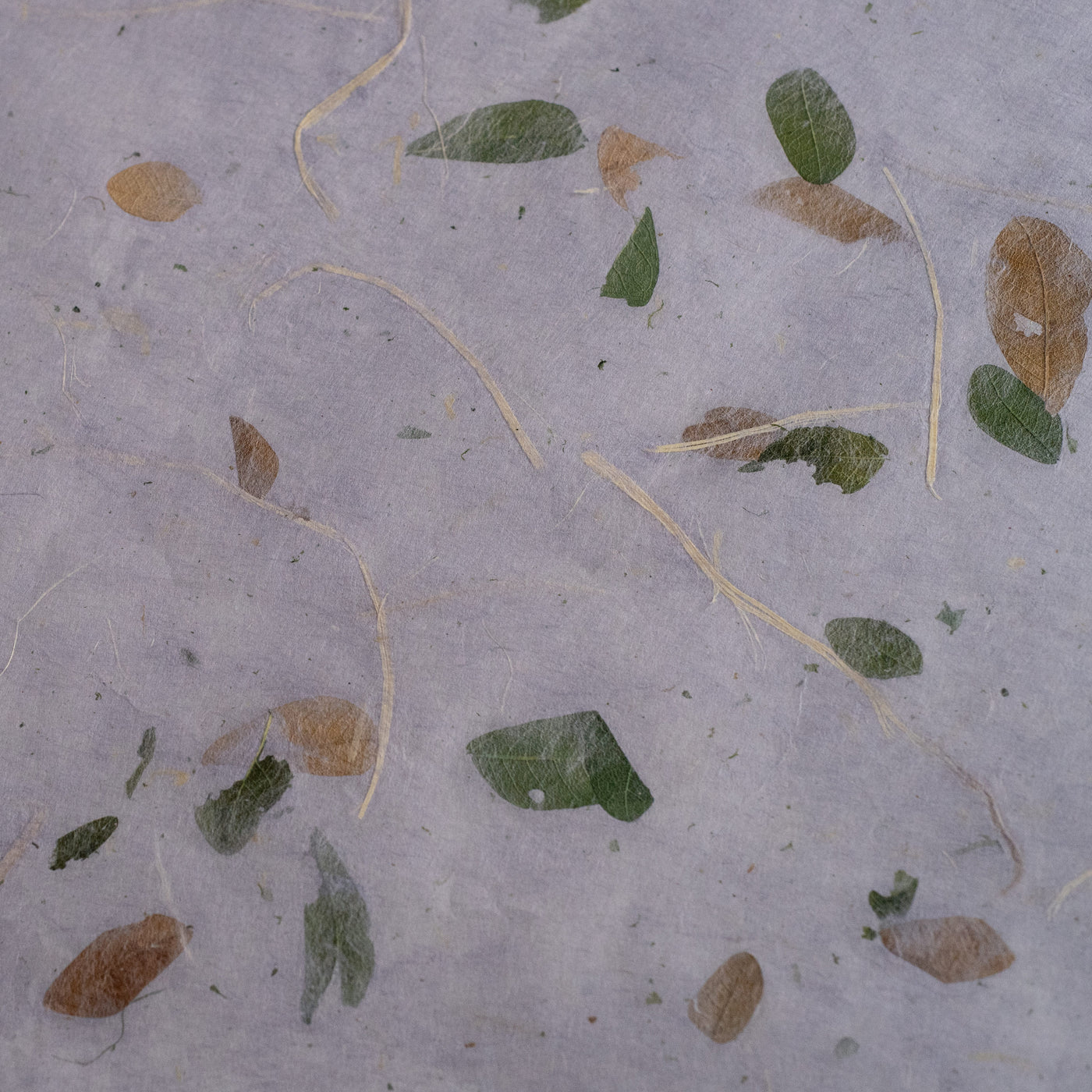 Thai Paper | Rain Tree | 4 COLOURS