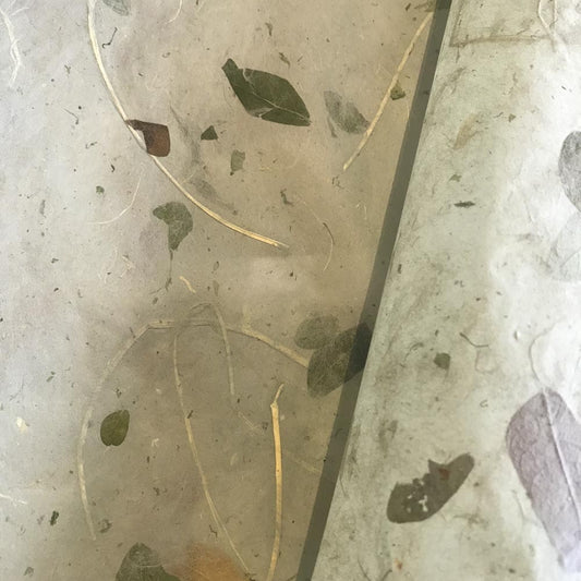 Thai Paper | Rain Tree | 4 COLOURS