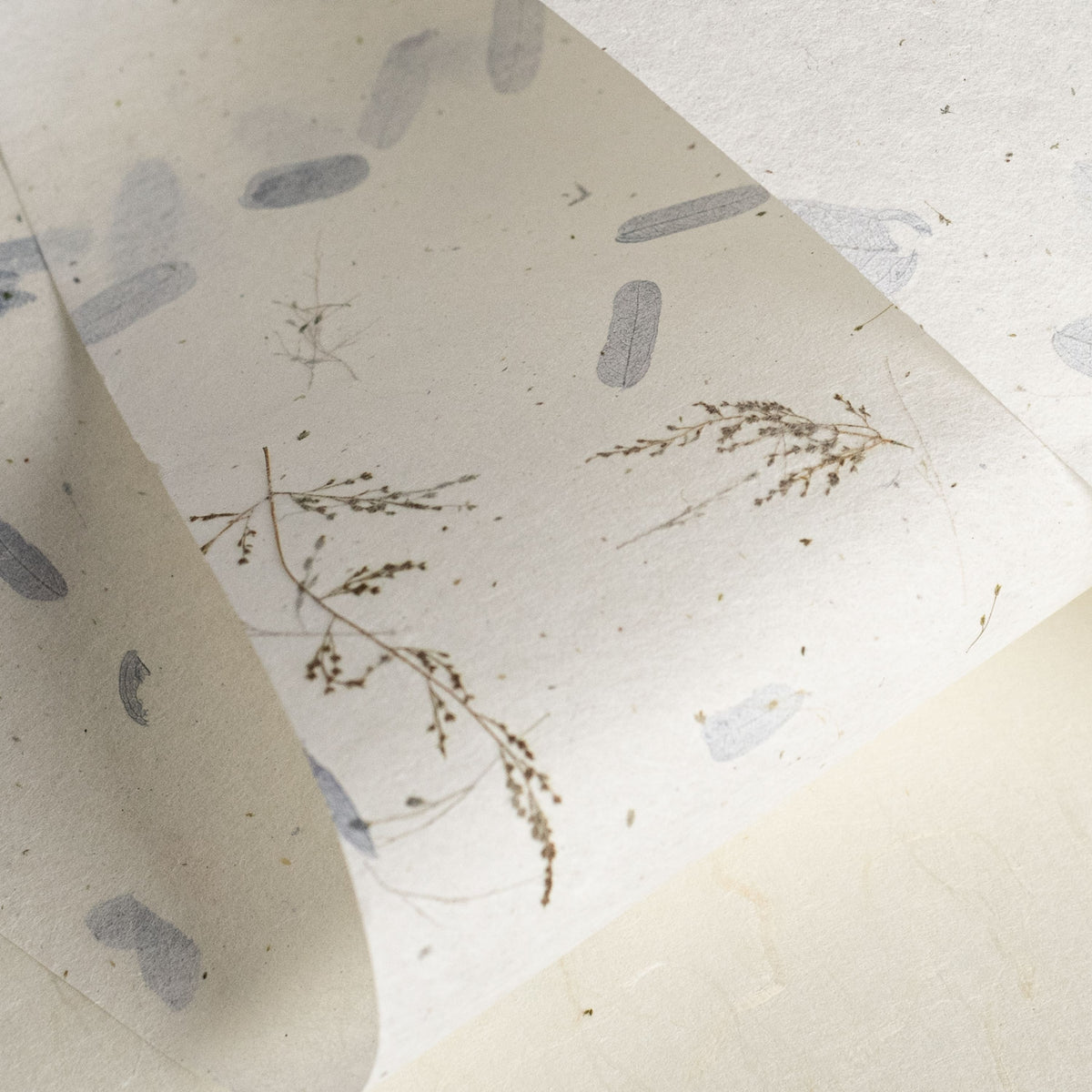 Thai Paper | Tamarind Leaf